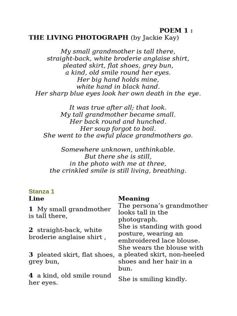 THE LIVING PHOTOGRAPH | PDF | Clothing | Fashion