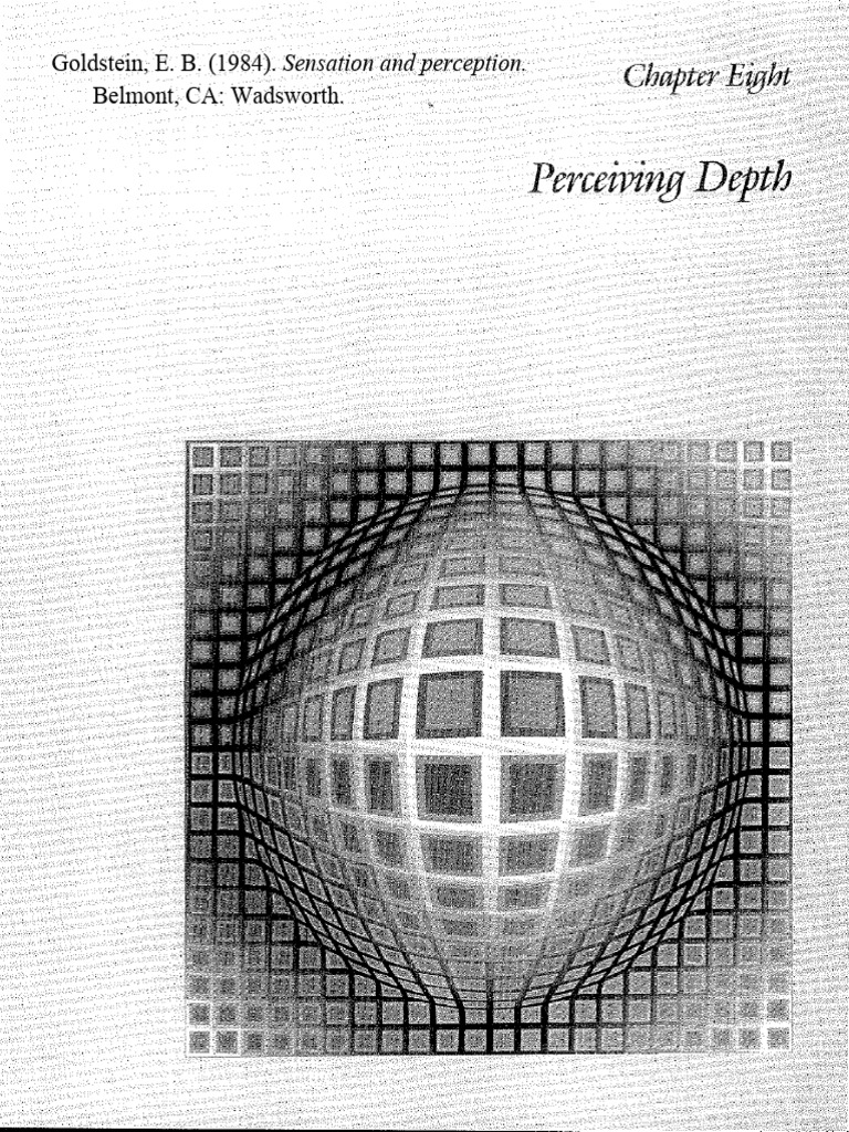 20240501T170303 Psyc111 Perceiving Depth | PDF