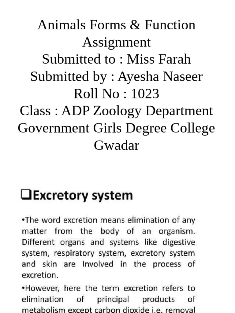 Animal Form and Functions | PDF