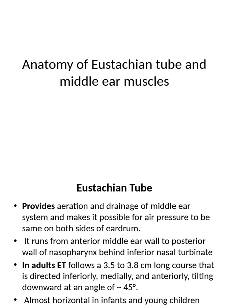 Eustachian Tube and Middle Ear Anatomy | PDF | Ear | Primate Anatomy