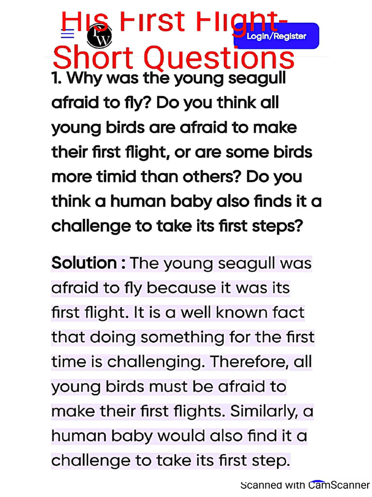 His First Flight | PDF