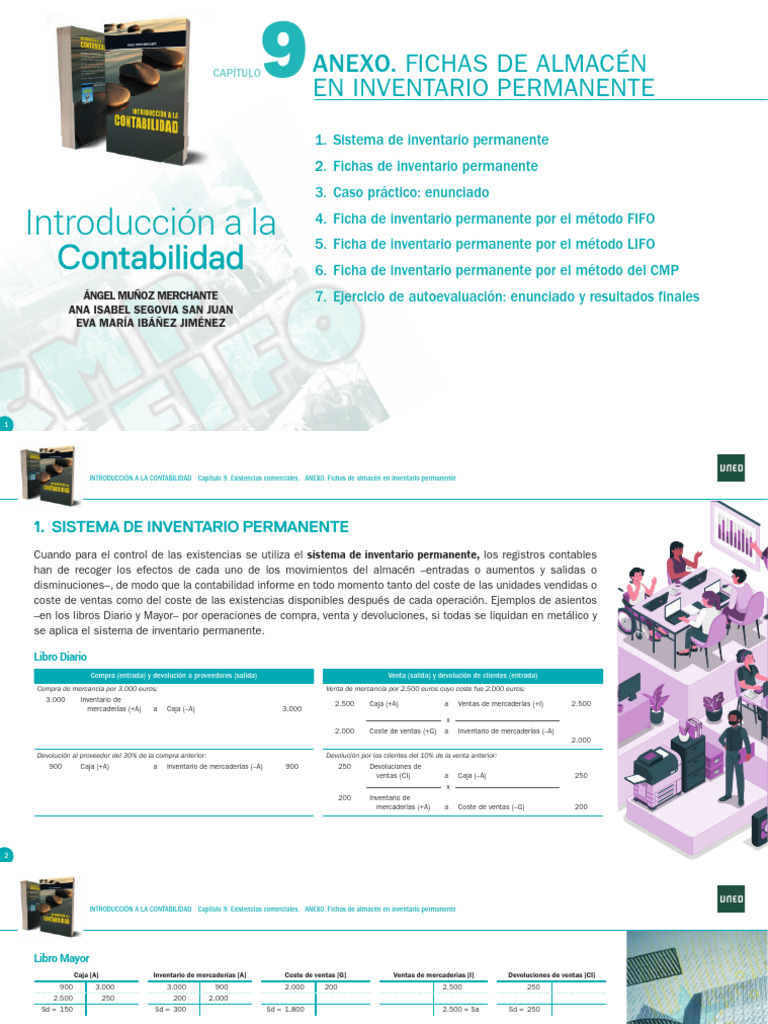 Capítulo 9. Fichas de Inventario - Anexo | PDF | Contabilidad | Euro