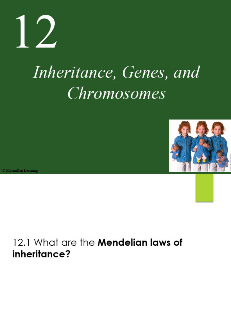 Chapter12 Inheritance Genes Chromosomes | PDF | Dominance (Genetics) | Allele