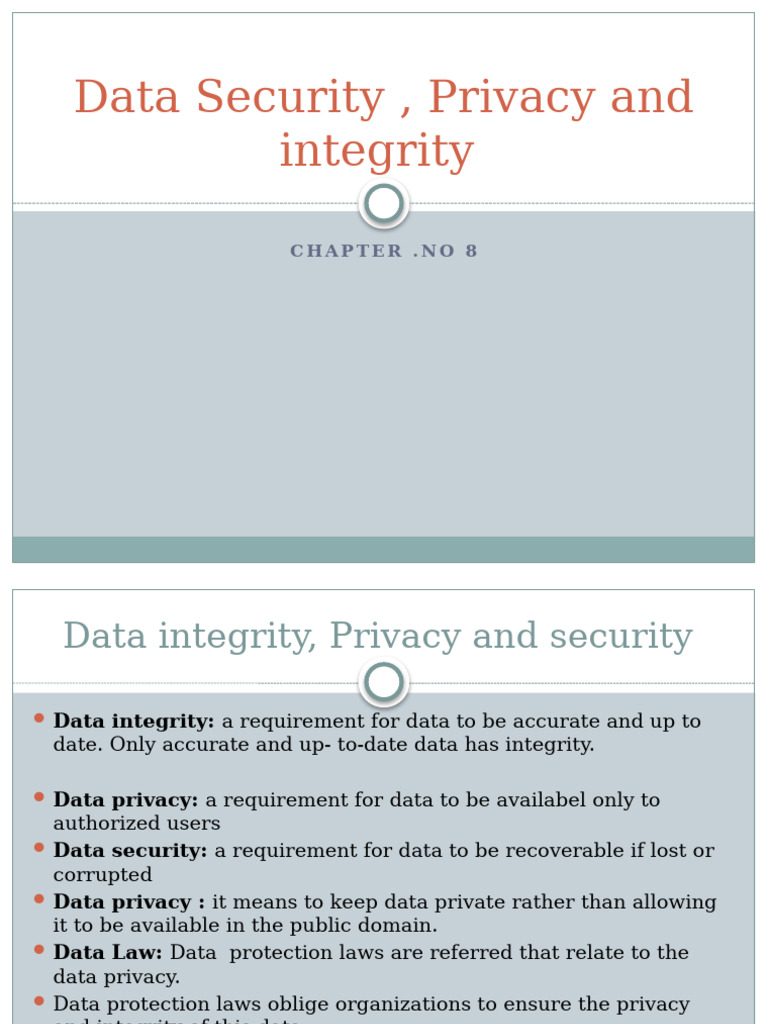 Data Security, Privacy, and Integrity | PDF | Security | Computer Security