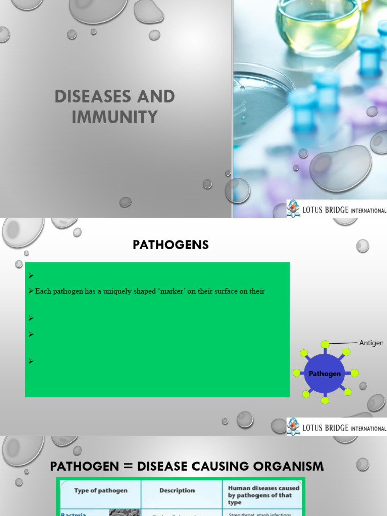 Diseases and Immunity Final | PDF | Immune System | Adaptive Immune System