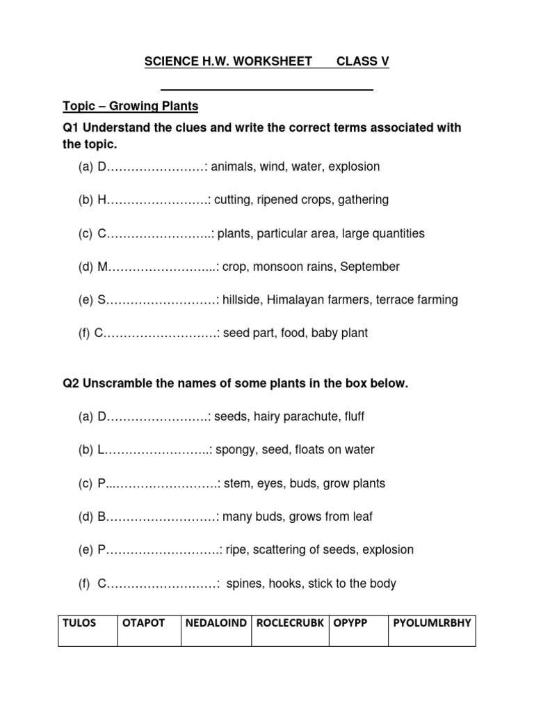 Grade 5 Plant Science Worksheet | PDF