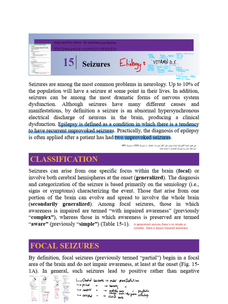 Understanding Epilepsy and Seizures | PDF | Epilepsy | Nervous System