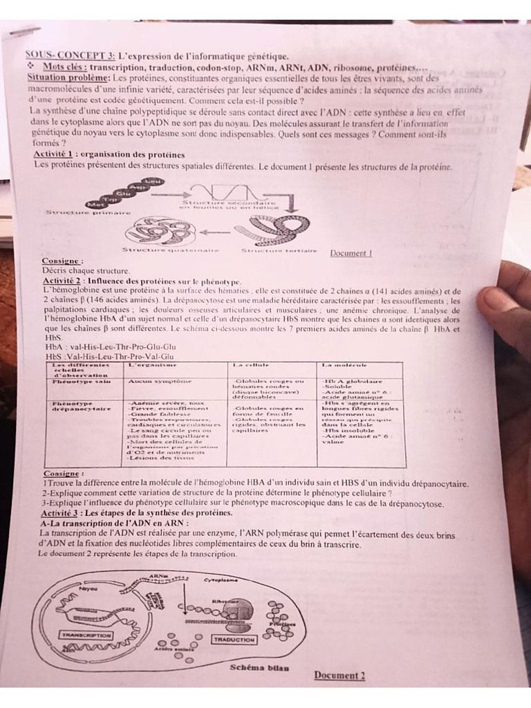 PDFReader 20250125 1056 | PDF