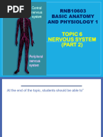 Brain Parts Labeling Worksheets | PDF | Brain | Human Brain