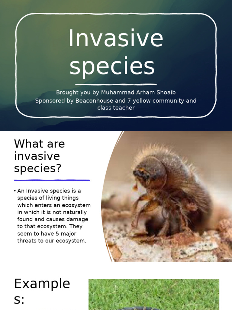 Understanding Invasive Species Impact | PDF