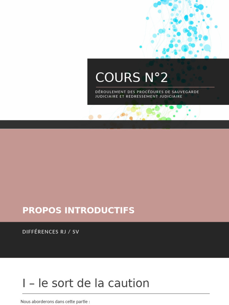 Cours 2 | PDF | Droit des affaires