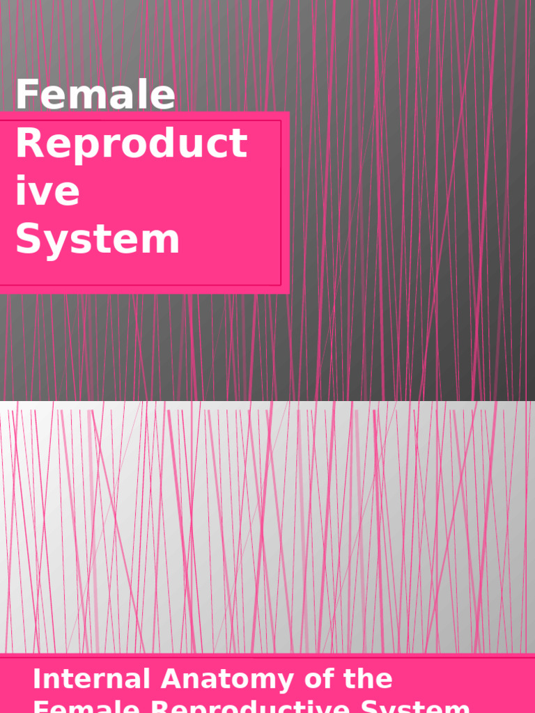 Overview of Female Reproductive Anatomy | PDF | Vagina | Menstrual Cycle
