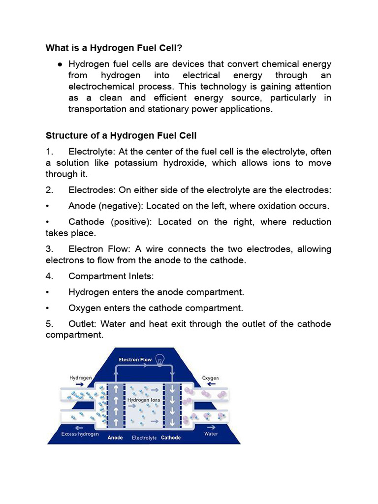 Hydrogen Fuel Cells Explained | PDF