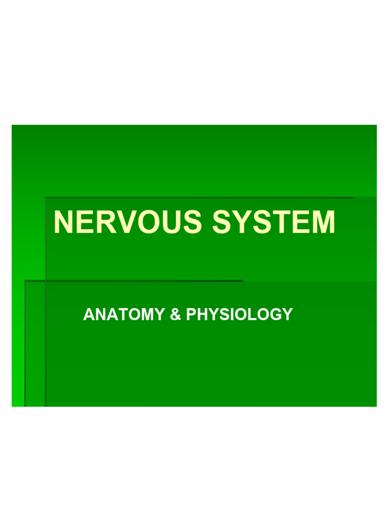 Open Copy1-2020 Anaphy Nervous System Lec | PDF | Cerebrum | Nervous System