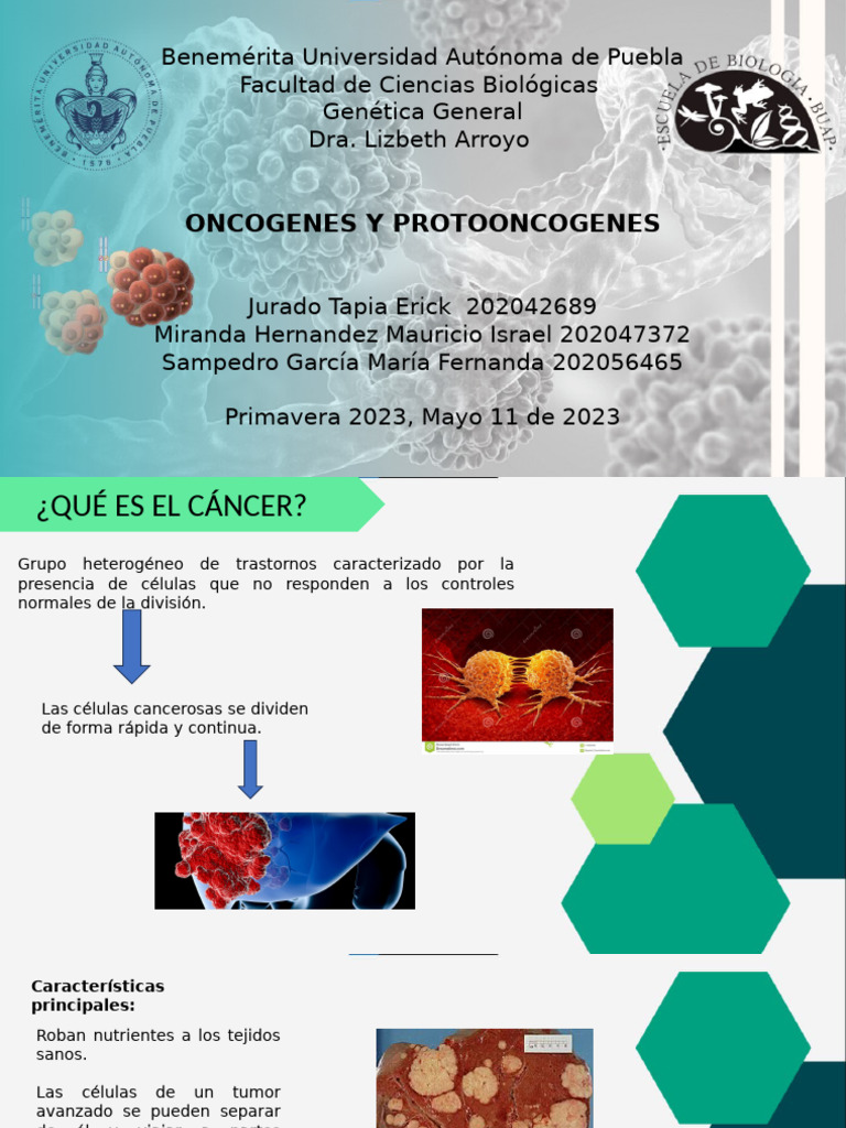 Oncogenes y protooncogenes en cáncer | PDF | Oncogen | Cáncer