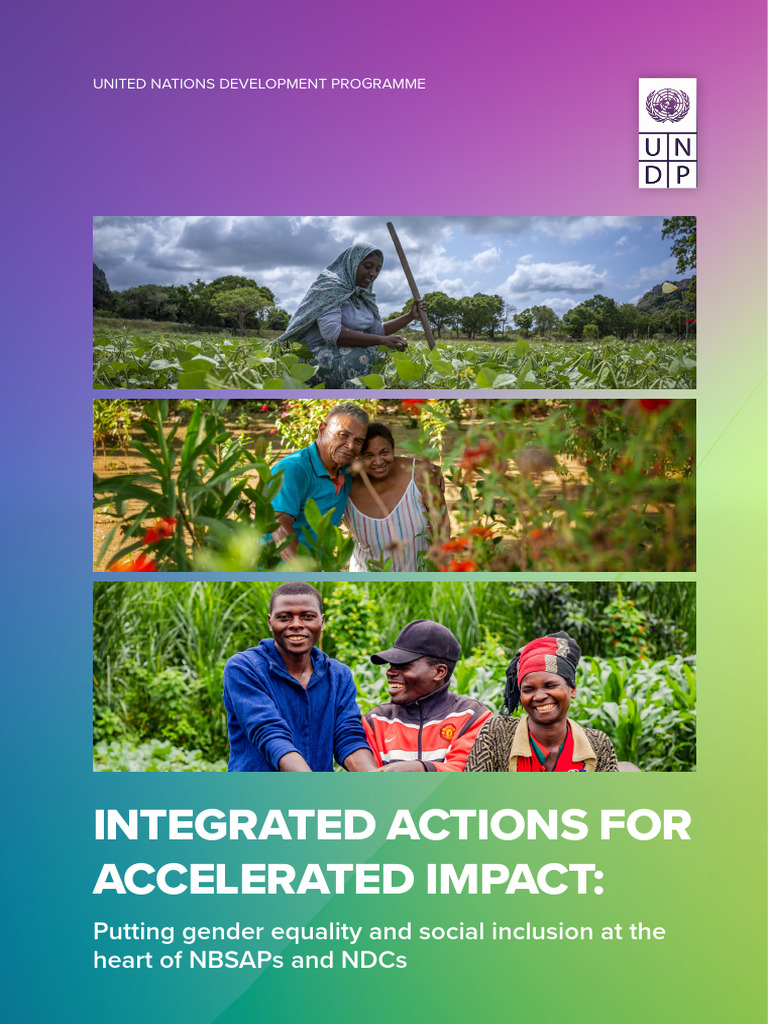 undp-integrated-actions-for-accelerated-impact | PDF | Sustainability ...