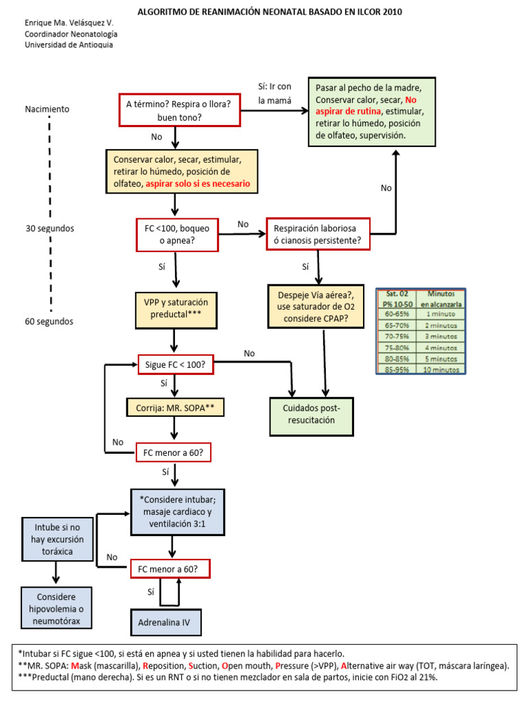 Algoritmo RCP Neonatal | PDF | Reanimación cardiopulmonar | Corazón