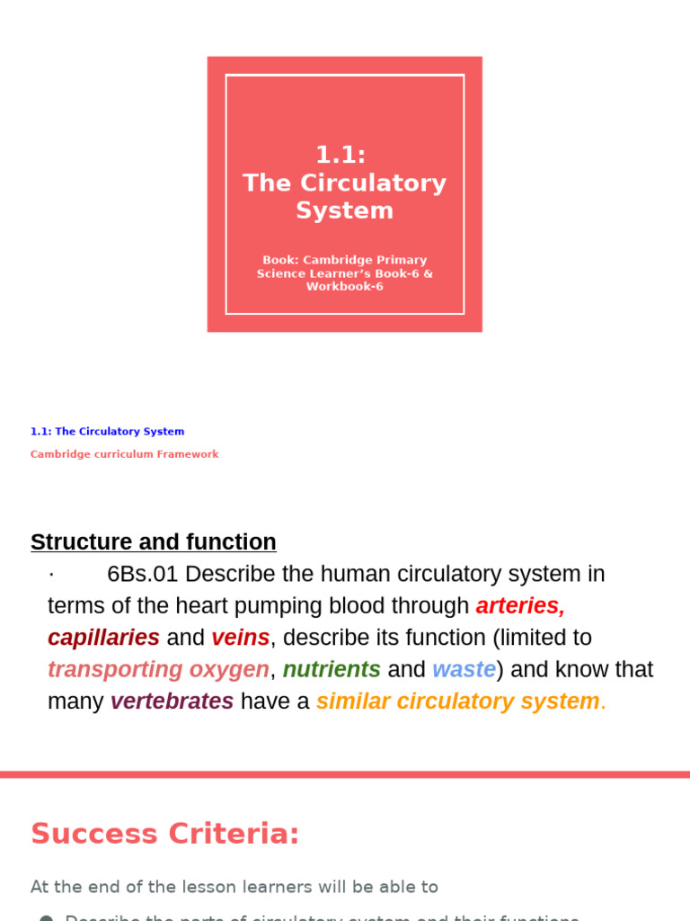Unit 1.1-The Circulatory System | PDF | Heart | Blood