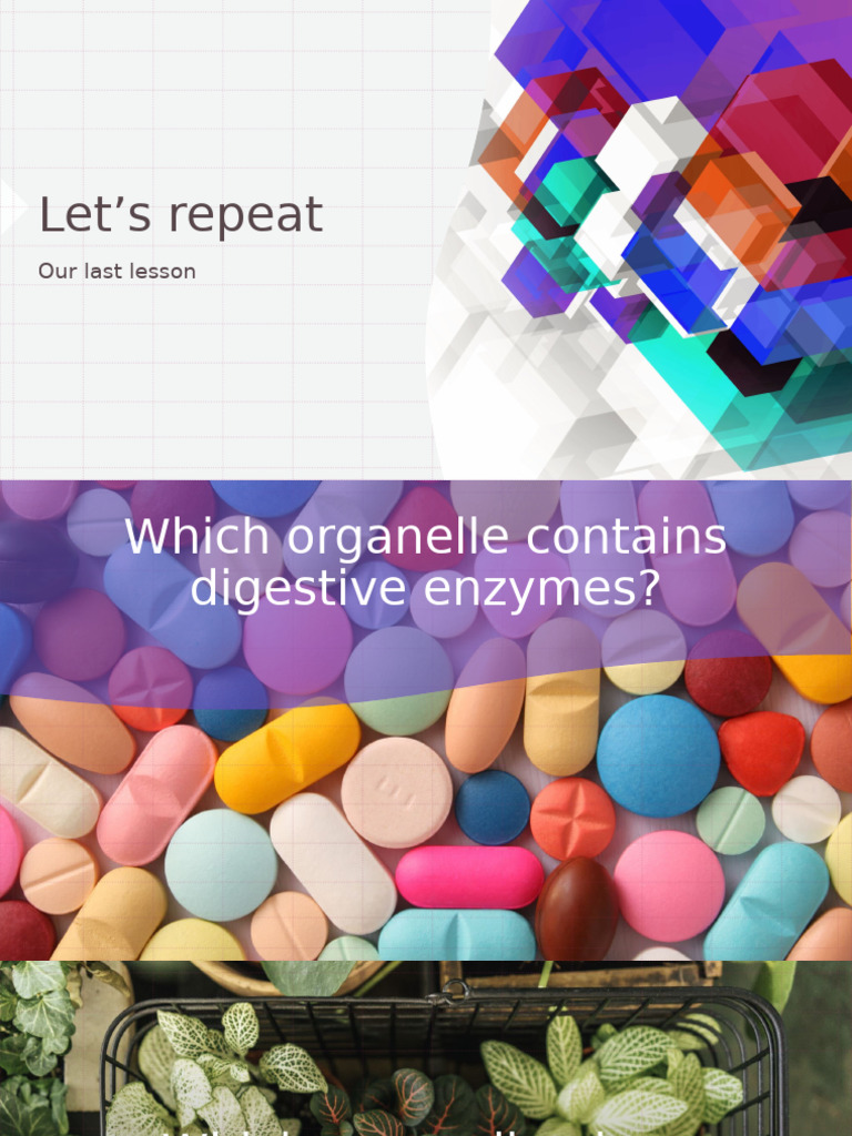 Cell Magnification | PDF | Organelle | Cell (Biology)