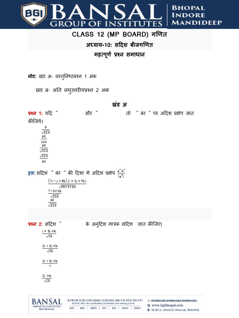 Ma 10 Hindi B | PDF