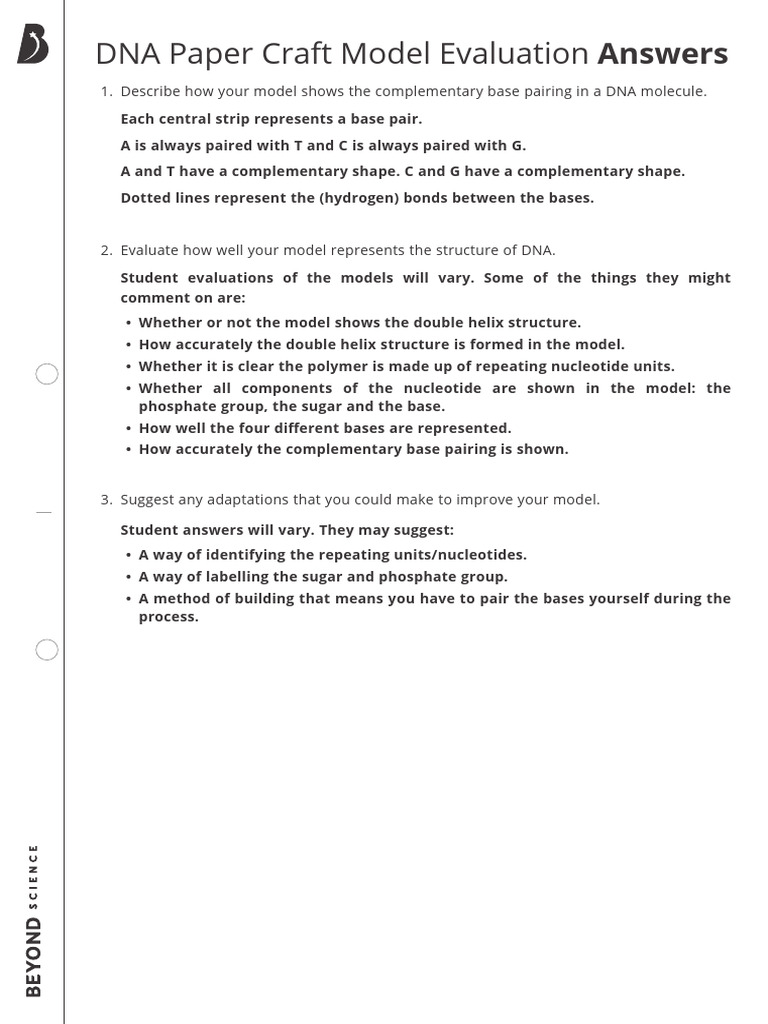DNA Paper Craft Model Evaluation Worksheet - Answers | PDF