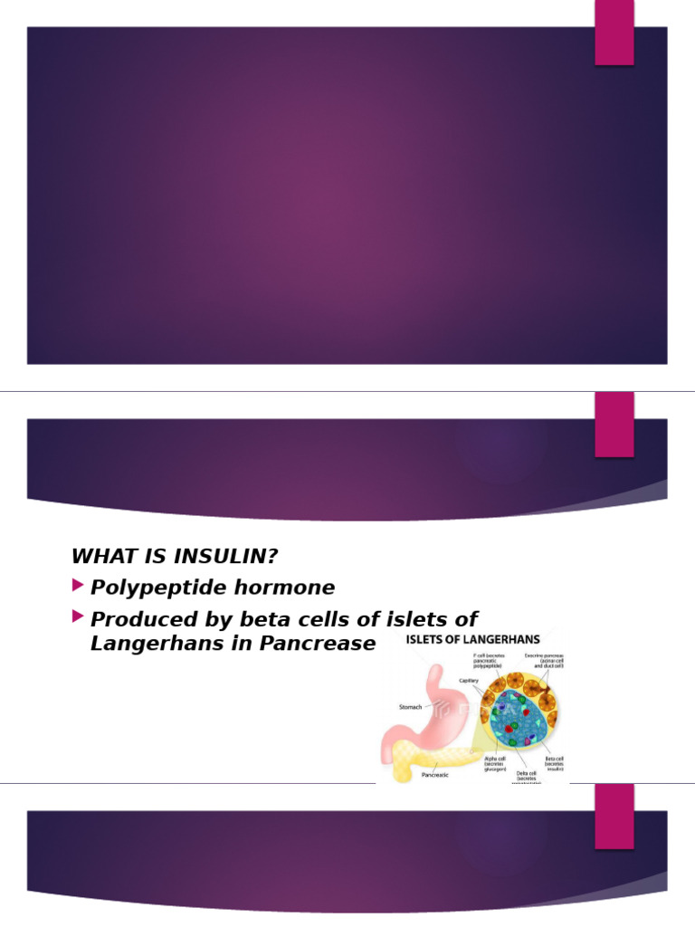 My Insulin | PDF | Insulin | Diabetes