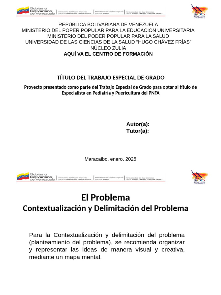Compartir Esquema para Presentación Del Teg | PDF