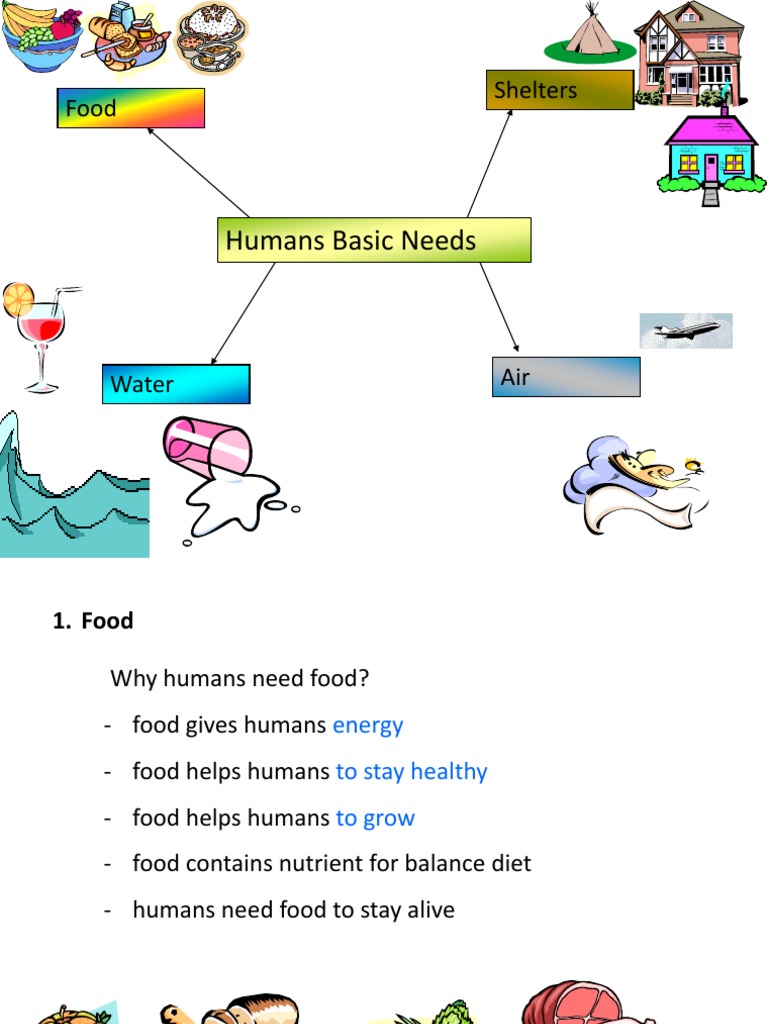 Basic Needs Of Life Food Shelter