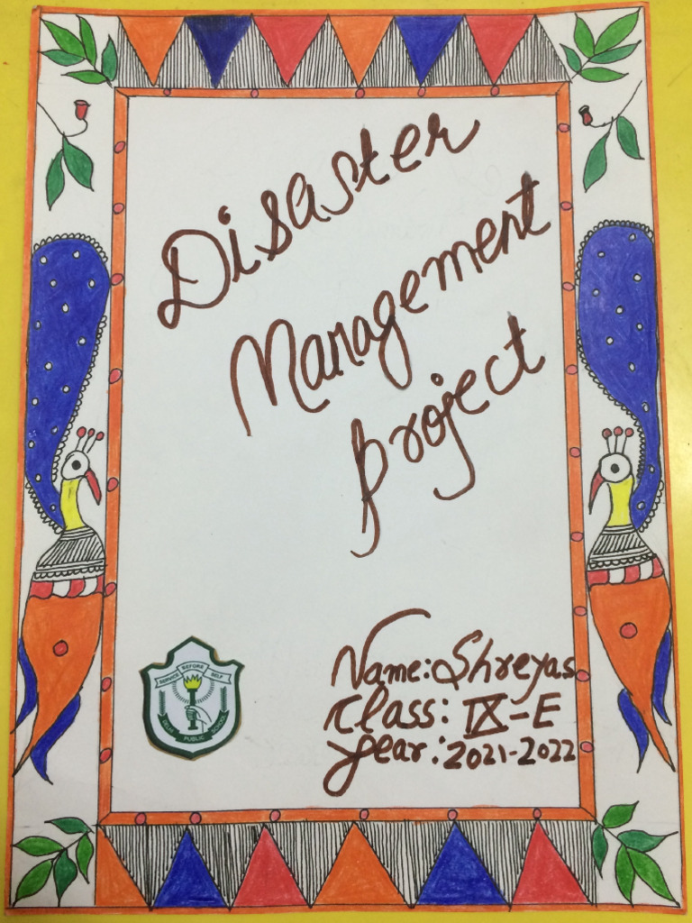 Disaster Management Project | PDF