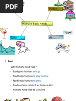 Basic Needs of Animal Worksheet For Grade 1-3 | PDF | Wellness