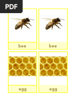 Detailed Lesson - CANAPE | PDF | Hors D'oeuvre | Lesson Plan