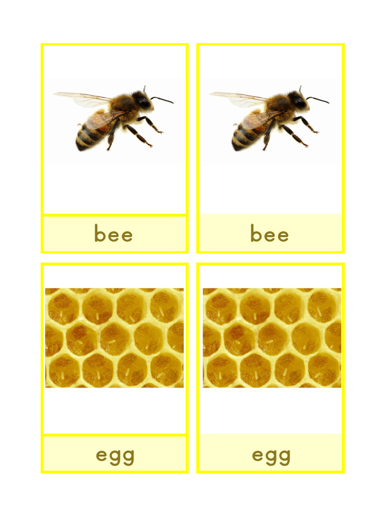 Bees | PDF | Bees | Beekeeping