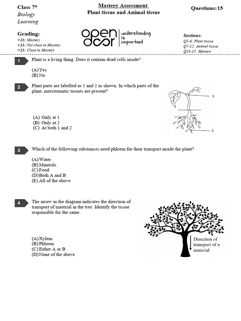 Mastery Assessment: Plant & Animal Tissues | PDF | Organisms