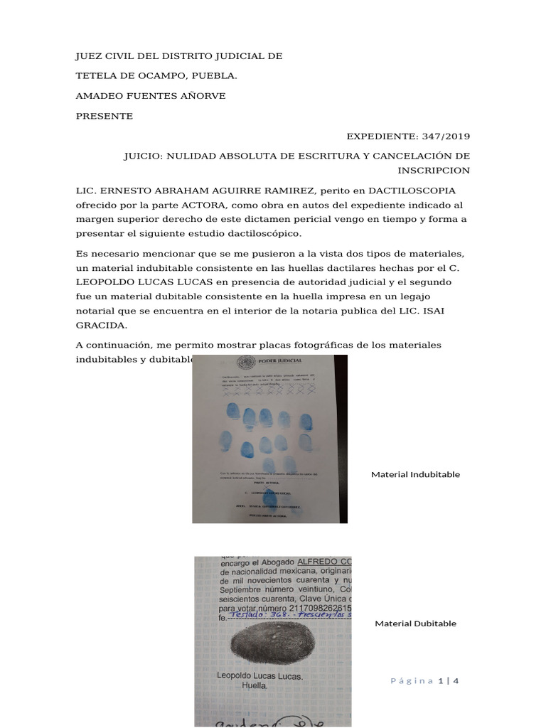 Peritaje Tetela 2020 Dactil | PDF | Huella dactilar