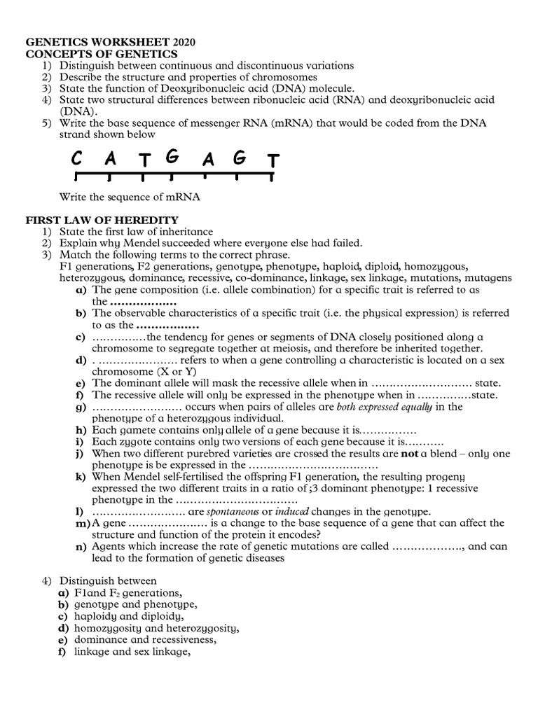 Genetics Worksheet 2020 | PDF