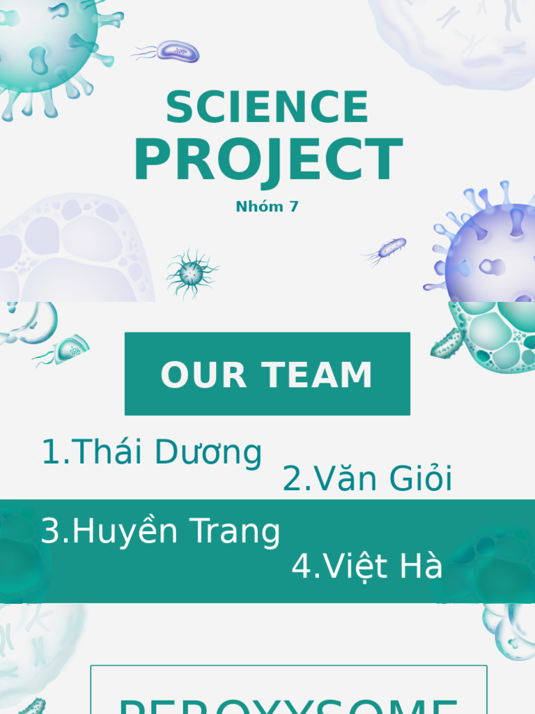 our-team-2 | PDF