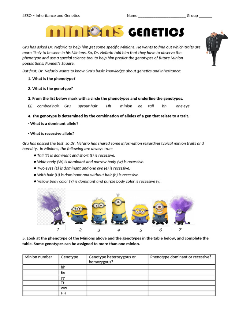 Extra Point Minion-Genetics | PDF | Dominance (Genetics) | Genotype