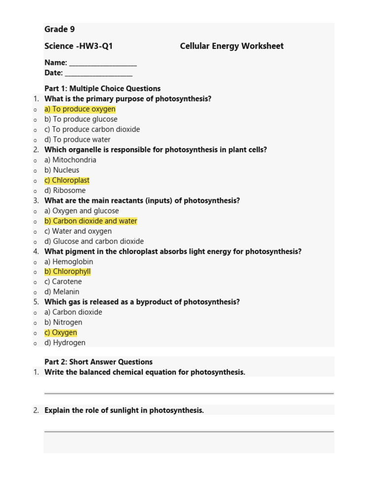 Cellular Energy and Photosynthesis Quiz | PDF
