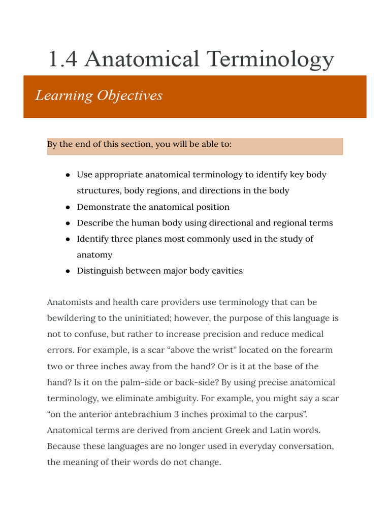 Anatomical Terminology | PDF | Anatomical Terms Of Location | Abdomen