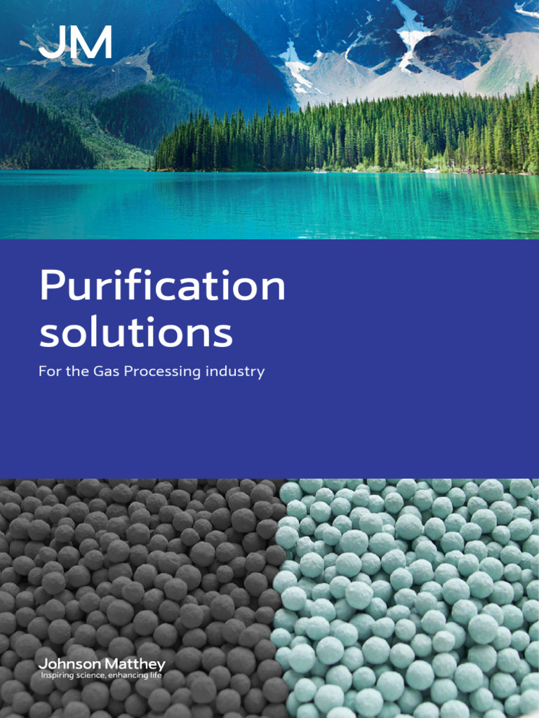 JM Purification For Gas Processing Market | PDF | Mercury (Element) | Gases