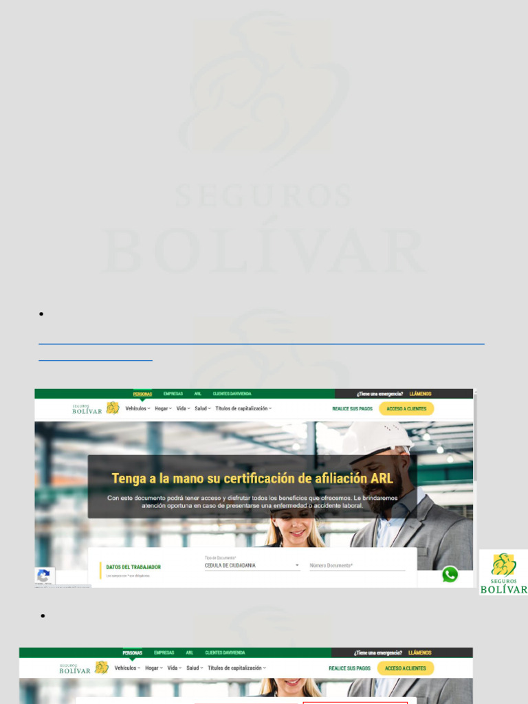 Descargar Carnet ARL Bolívar | PDF