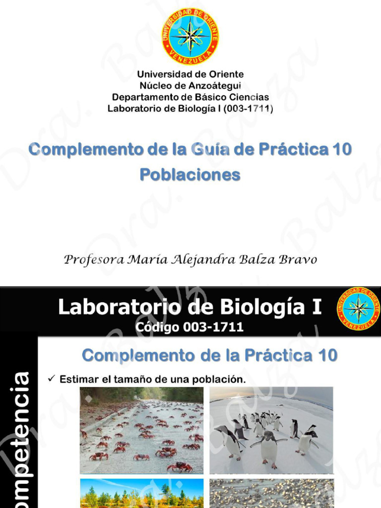 Complemento de La Guía de Práctica 10. BI 2024 | PDF