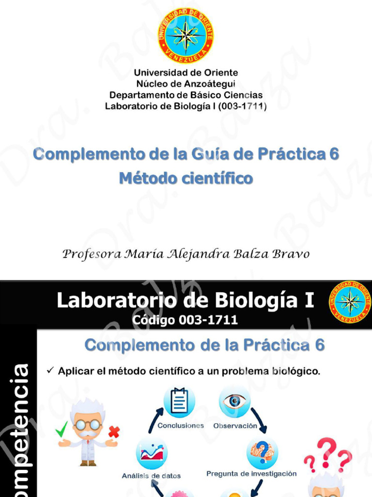 Complemento de La Guía de Práctica 6. BI 2024 | PDF