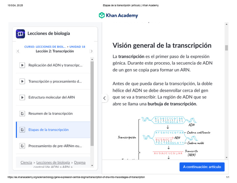 Etapas de La Transcripción (Artículo) - Khan Academy | PDF