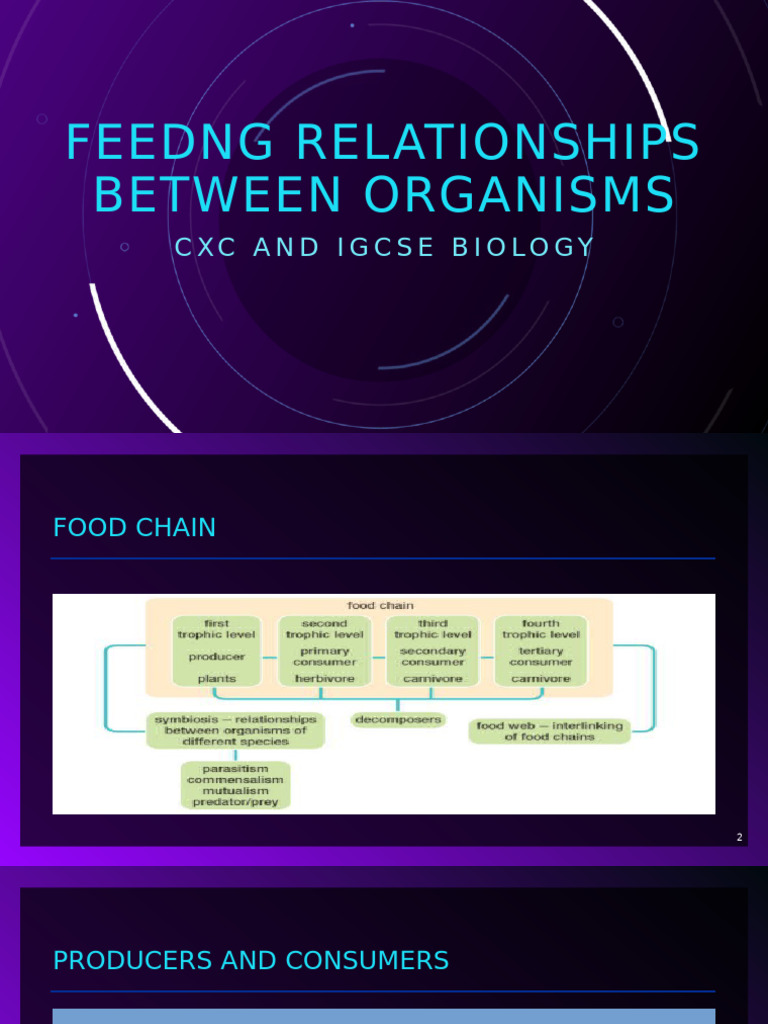 Feeding Relationships in Ecosystems | PDF | Food Web | Ecosystem