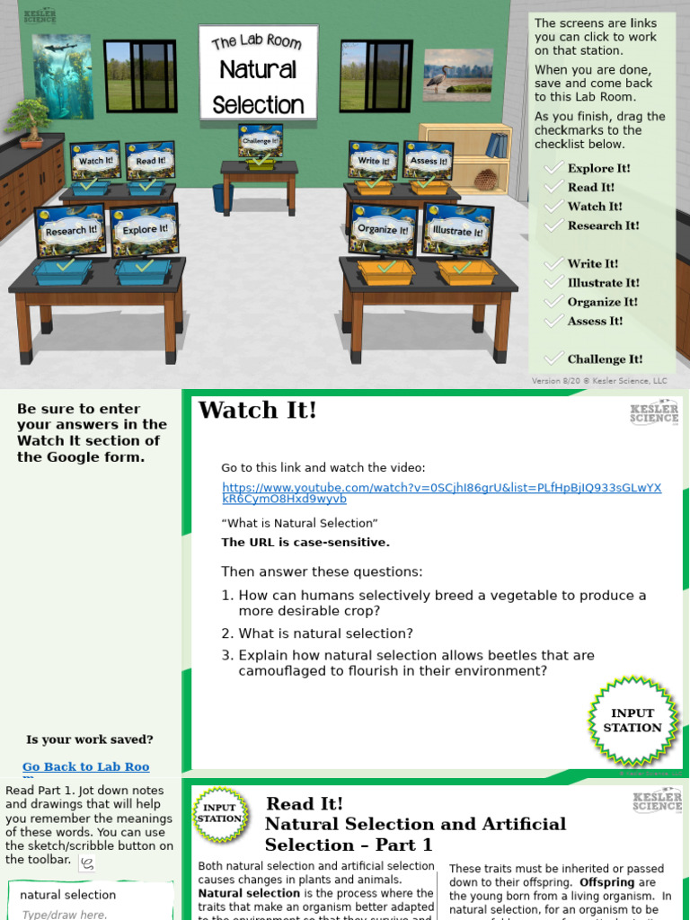 2 Exploration - Natural Selection Station Lab v2 - Digital W Google ...