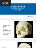 Cervical Lymph Node Mapping Guide | PDF