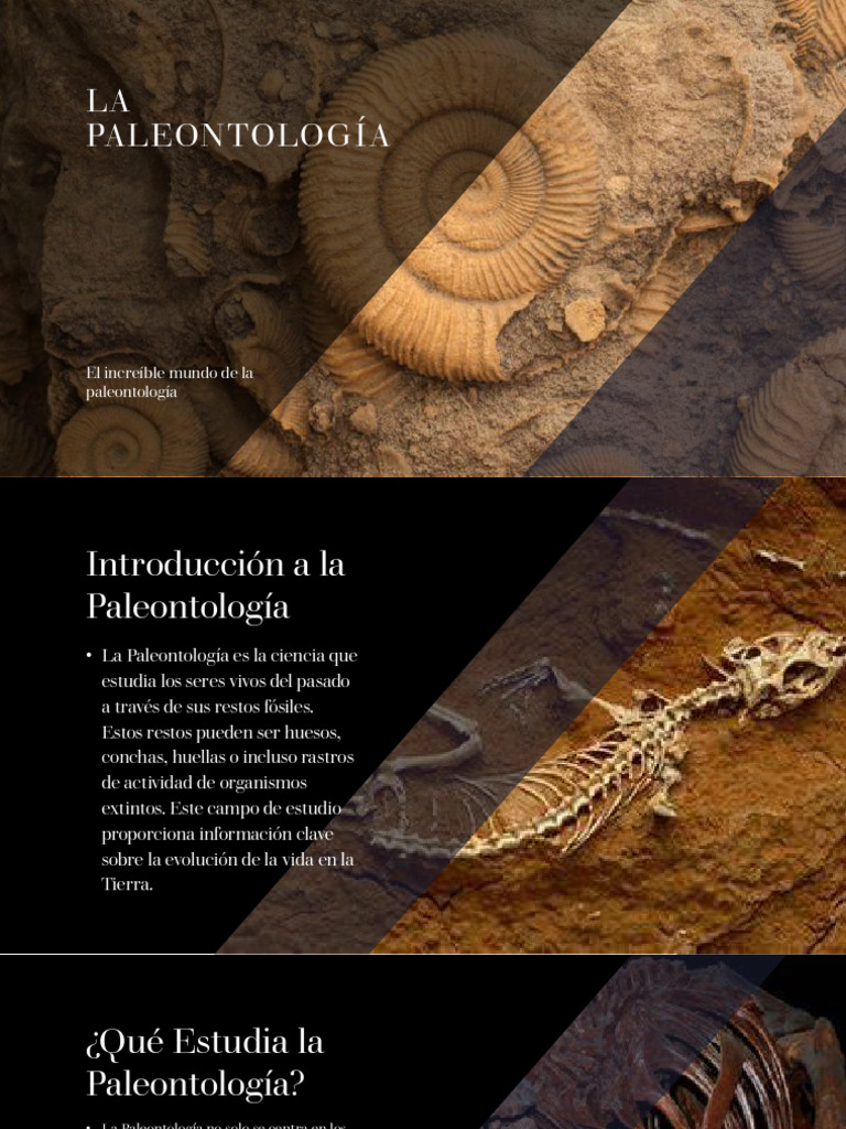 Datos Paleontológicos y su Importancia | PDF | Fósil | Paleontología