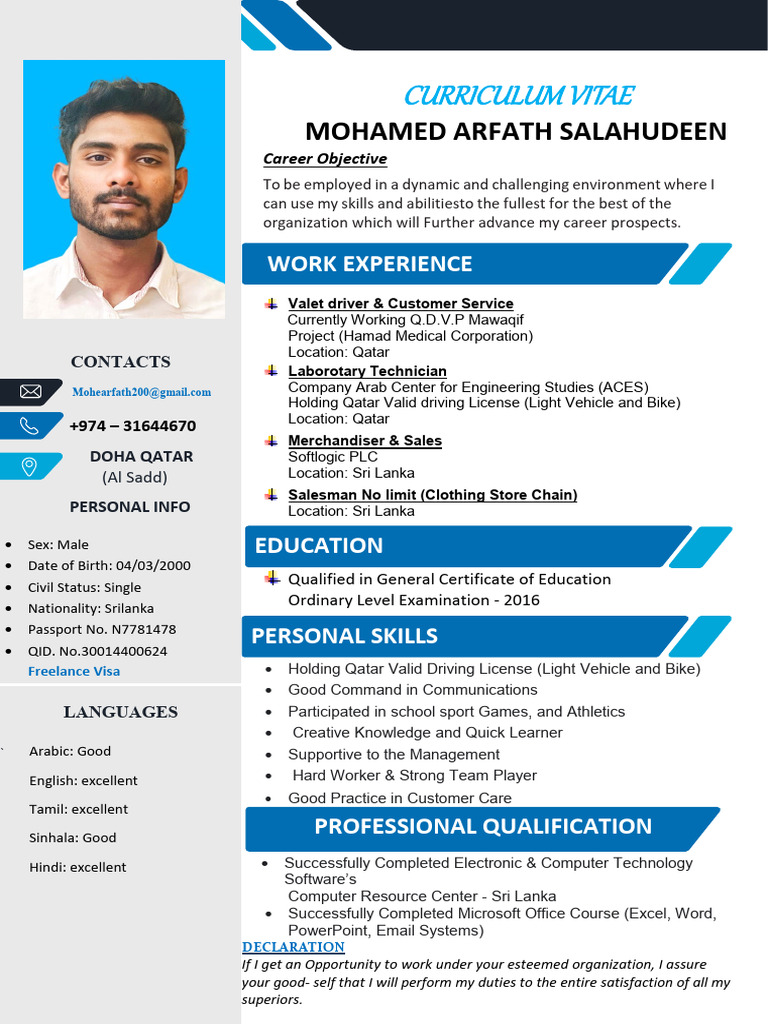 Mohamed's Career Profile | PDF | Qatar
