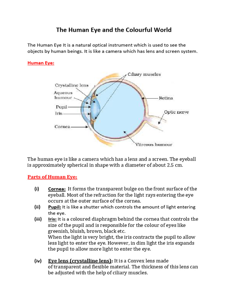 Human Eye & Colourful World Notes | PDF | Eye | Rainbow